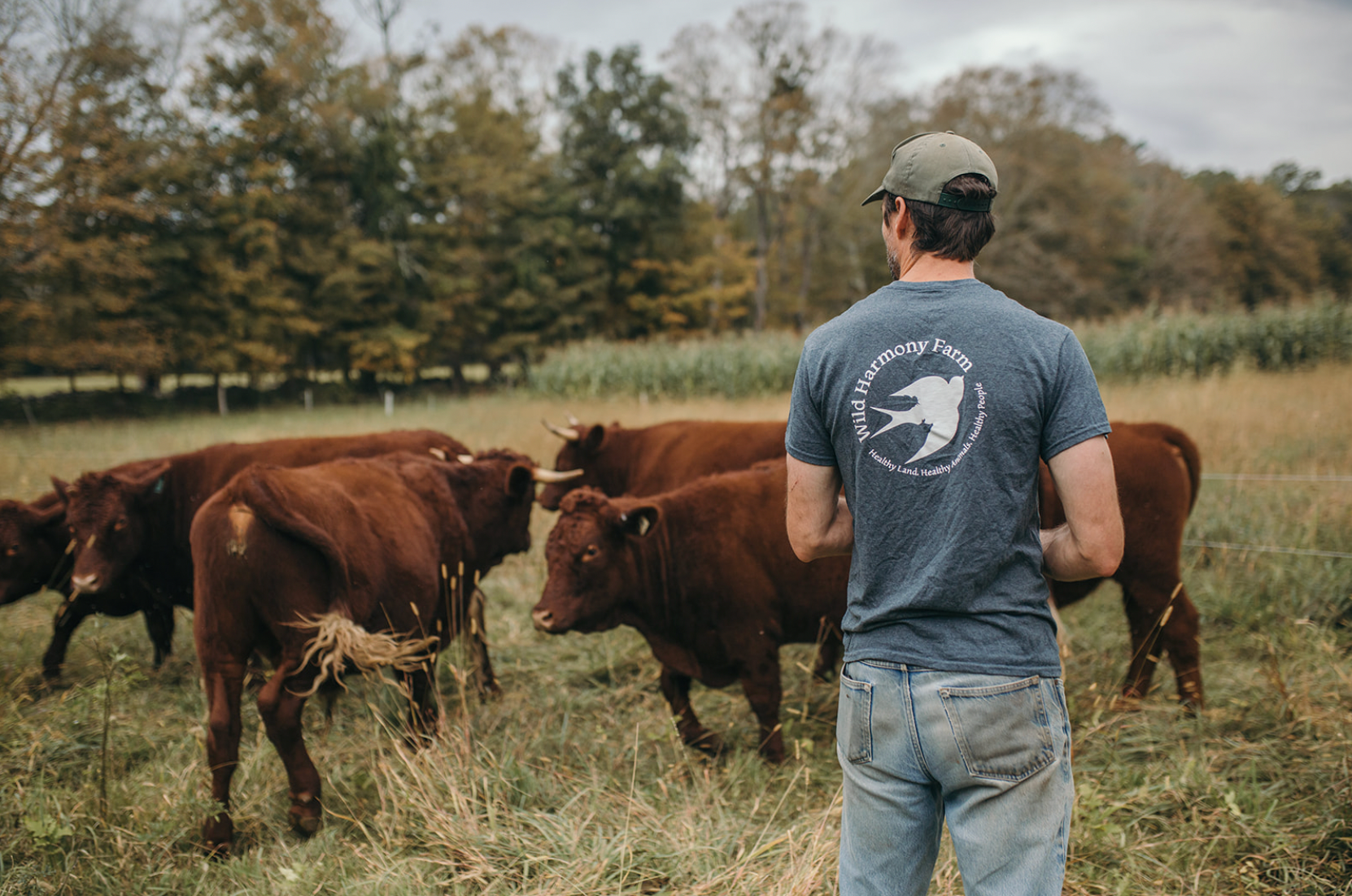 The Birth of Wild Harmony Farm