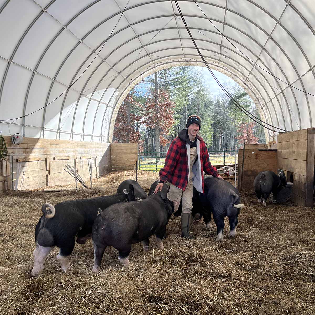 Organic Pasture-raised Pork – Wild Harmony Farm